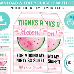Watermelon Thank You Tags One in a Melon Watermelon Birthday - Etsy