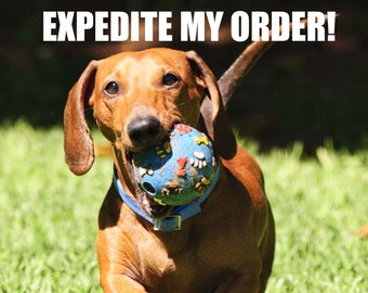 Expedite My Order. Bring Your Order to the Front of the - Etsy