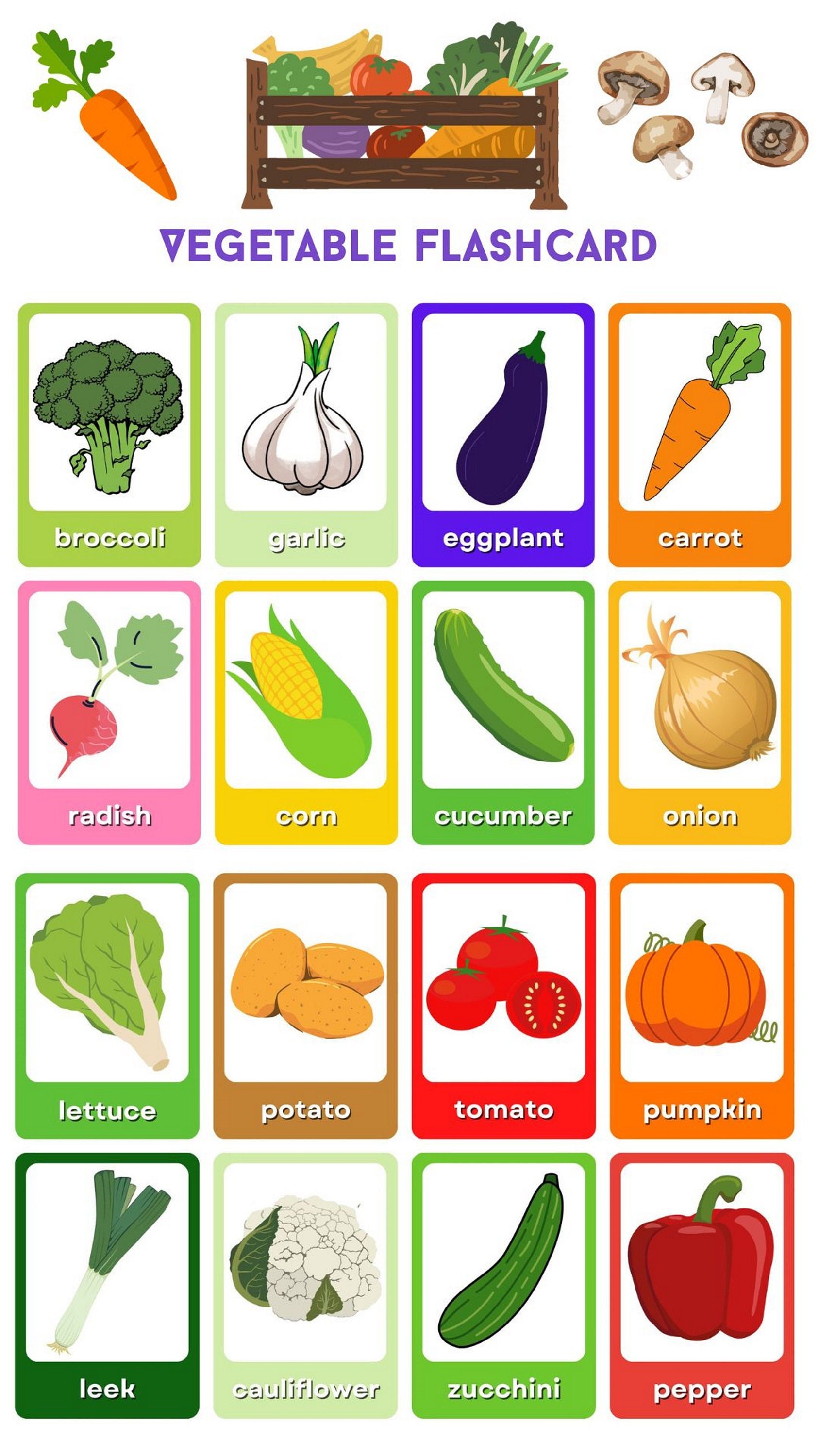 Printable Vegetable Flashcards Printable Colorful Vegetable Flashcards ...