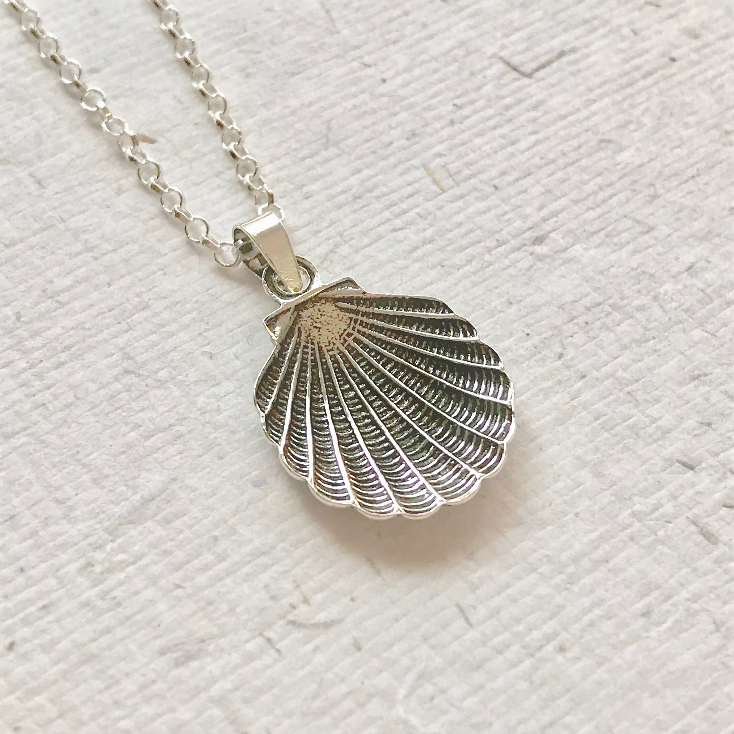 The Pilgrim's Symbol / Scallop Shell / Baptism / Life / - Etsy