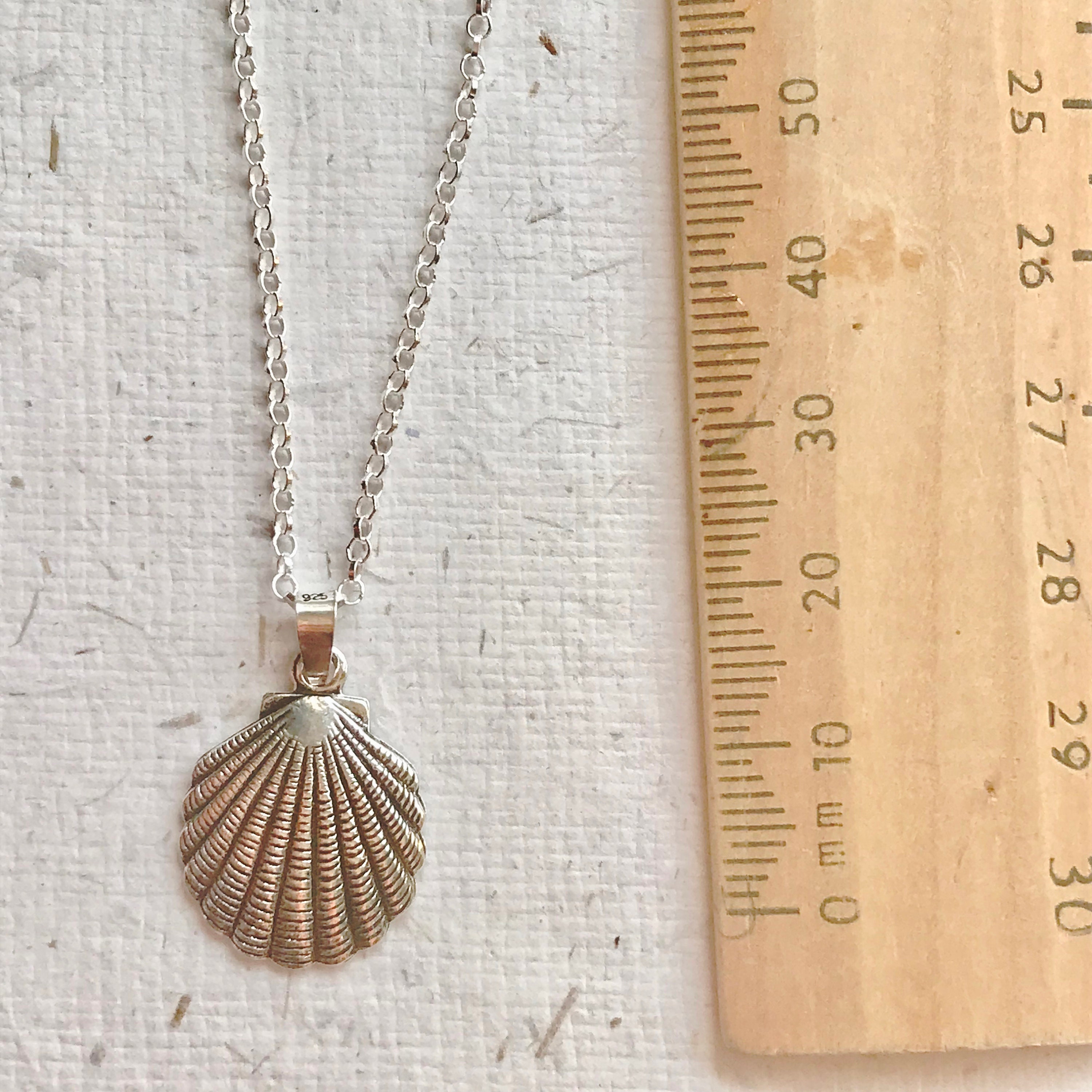 The Pilgrim's Symbol / Scallop Shell / Baptism / Life / Journey With ...