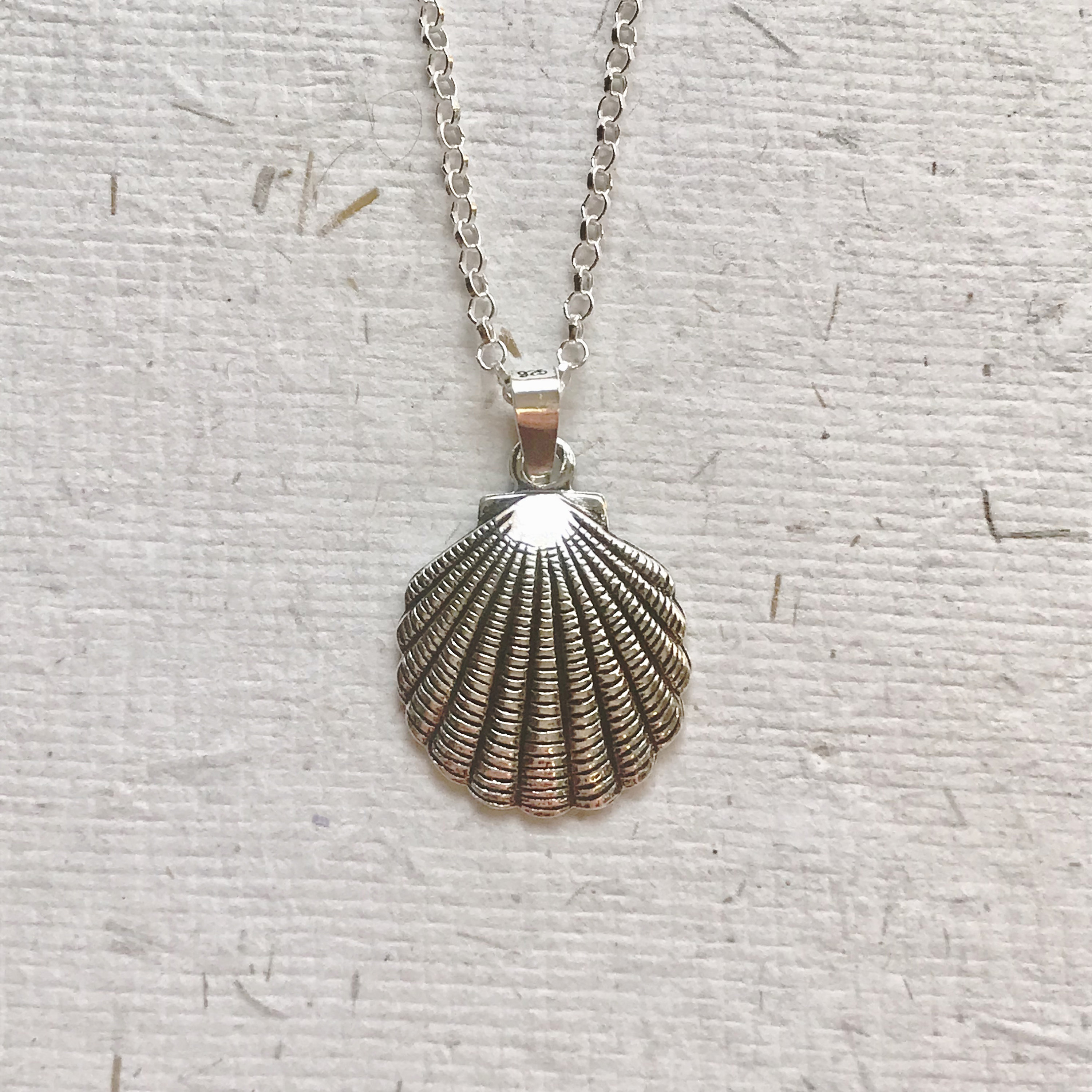 The Pilgrim's Symbol / Scallop Shell / Baptism / Life / - Etsy