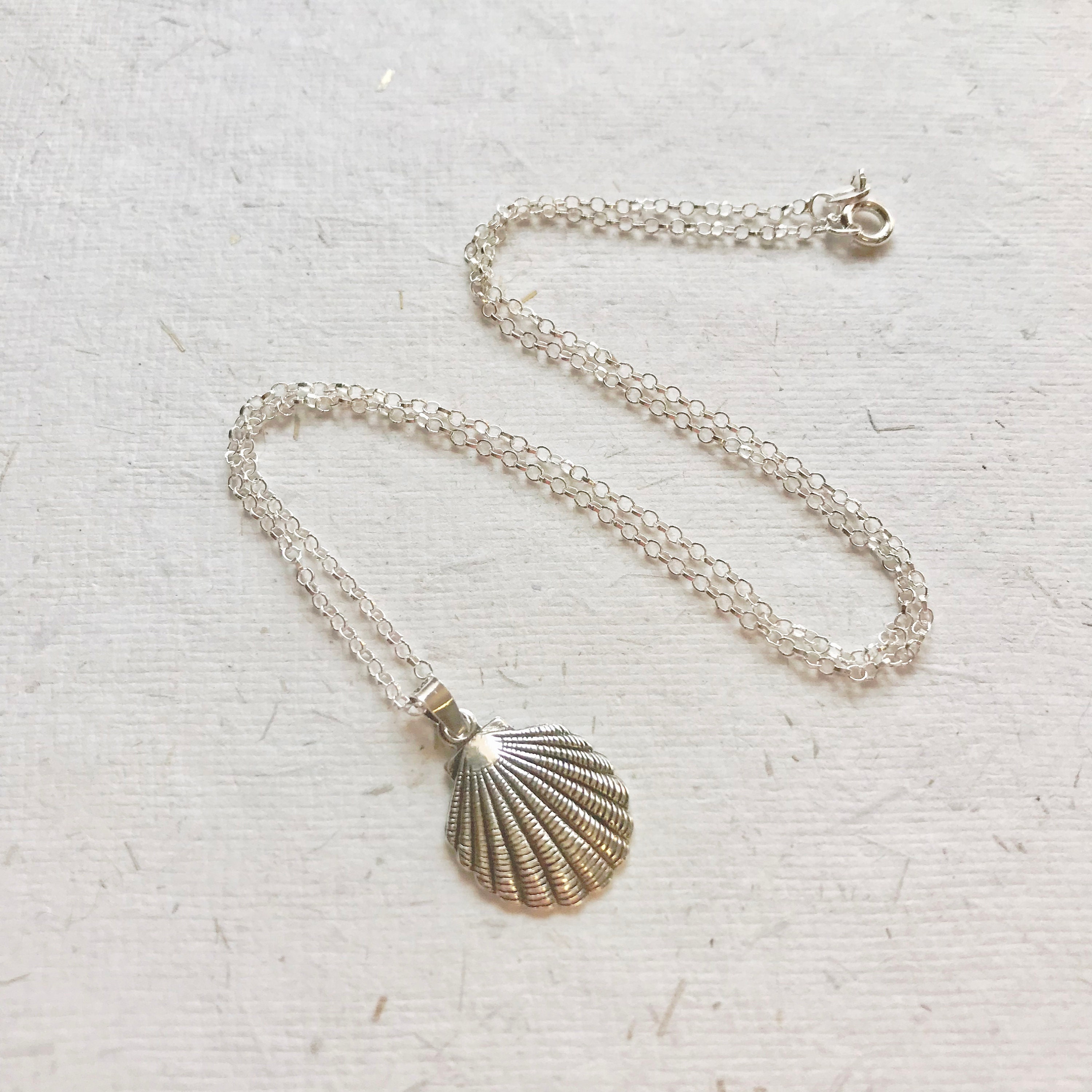 The Pilgrim's Symbol / Scallop Shell / Baptism / Life / Journey With ...