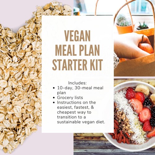 Vegan/plant-based Meal Starter Kit the Easiest and Quickest - Etsy