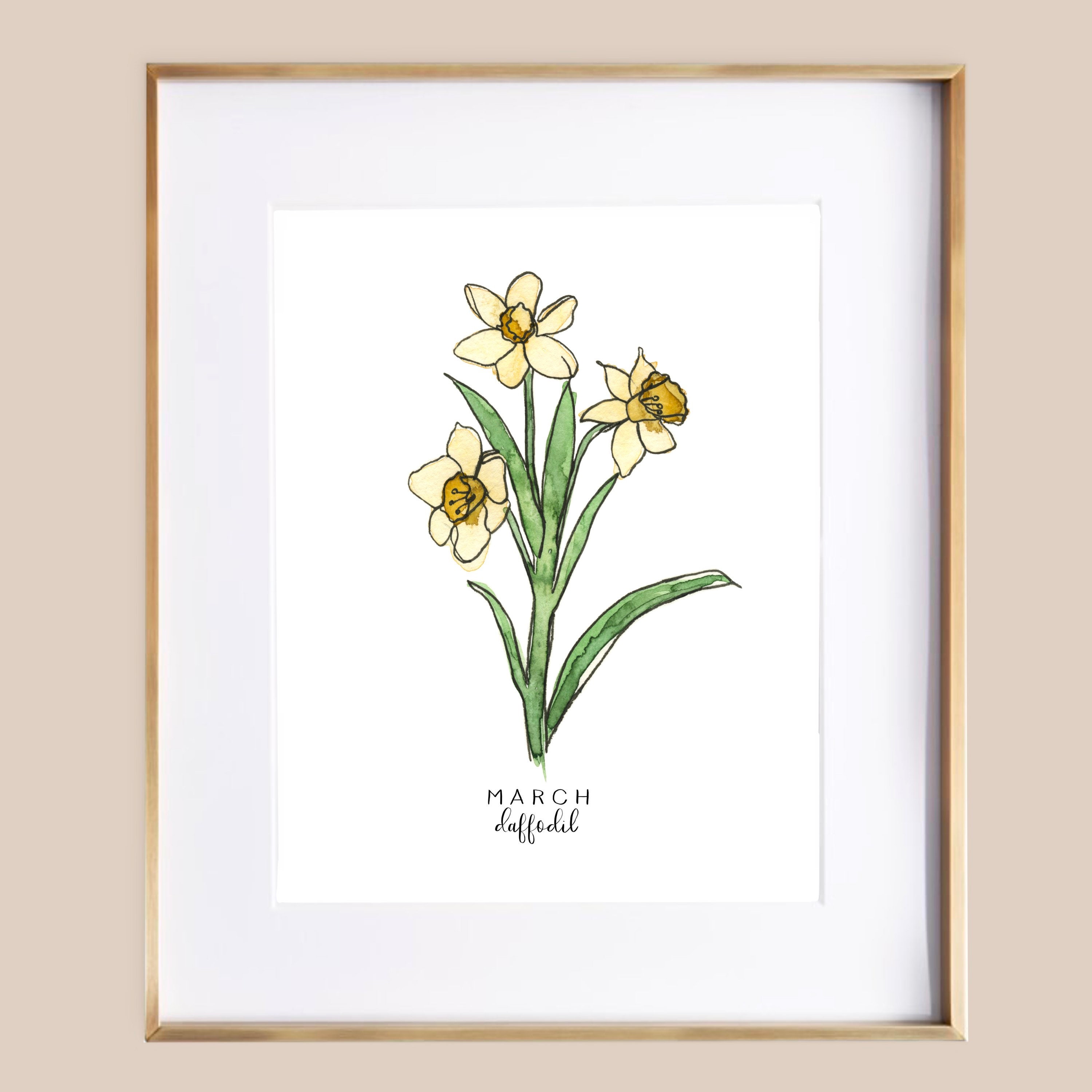 March Flower Of The Month Daffodil