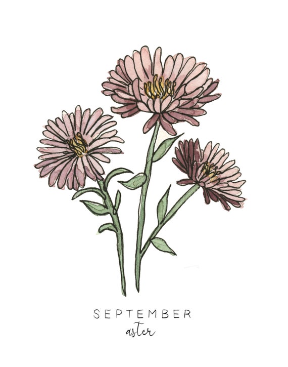 September Flower Of The Month