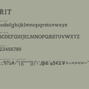 FONT Handwritten Script Cursive Serif Hand Lettered Font, Modern Script ...