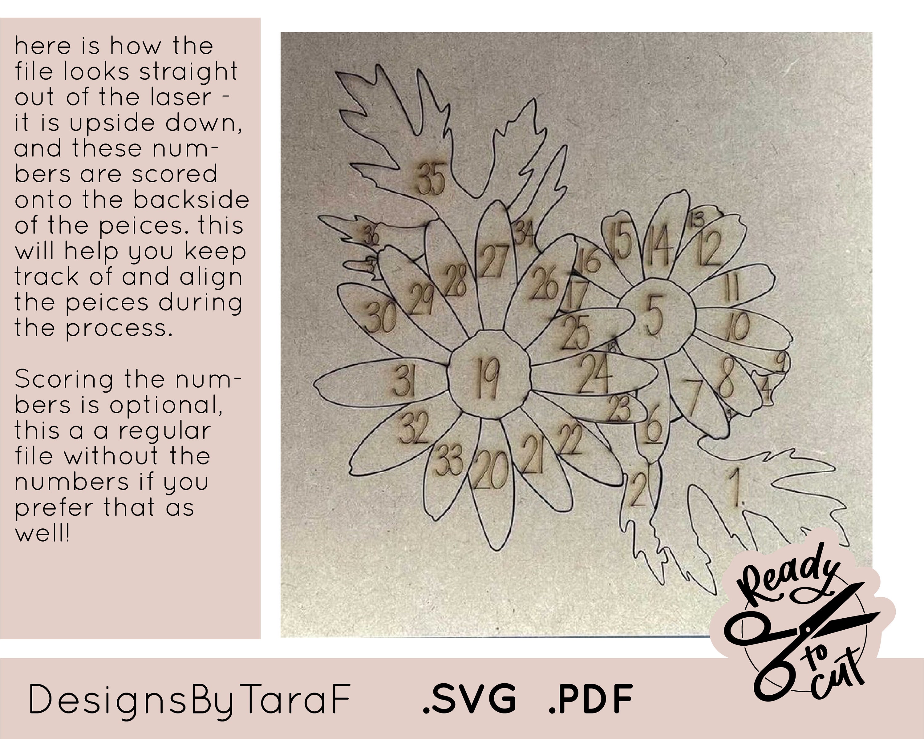 SVG Single Line Daisy Floral Flowers Leaves Leafy Nursery Sign - Etsy