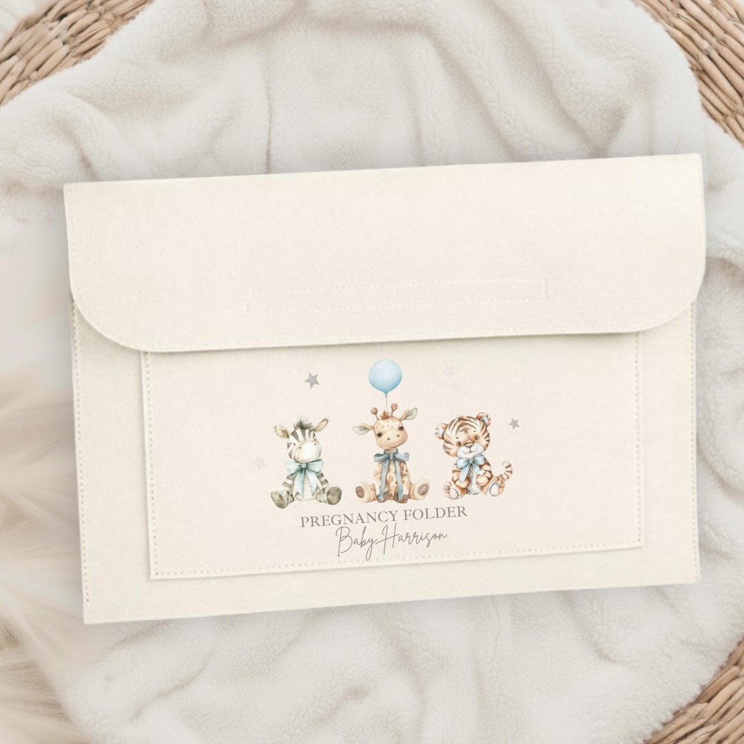 Baby Amigos Pregnancy Notes Folder | Maternity Notes for Baby | for New ...