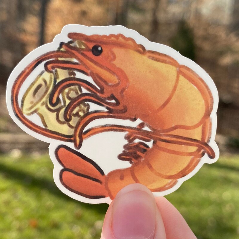 contemporarycaroline - Etsy