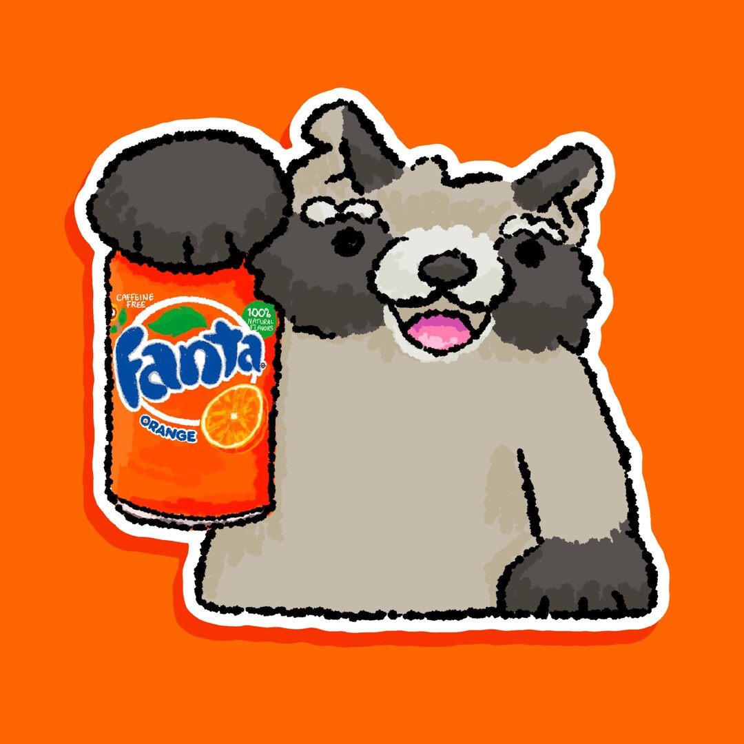 Fanta Inspired Raccoon Meme Sticker, Glossy Vinyl Laptop Reaction Pic ...