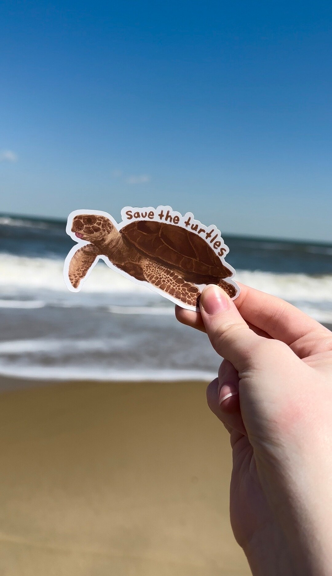 Save the Sea Turtles Sticker / Charity Sticker / Cute Sticker / Turtle ...