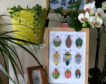 Insect Collage Art | Etsy