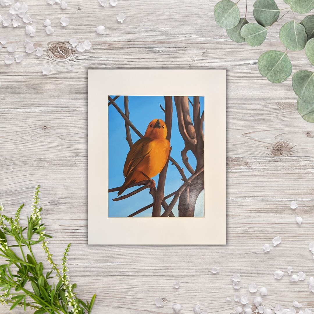 Golden Taveta Weaver Print: 8x10 Bird Painting - Etsy