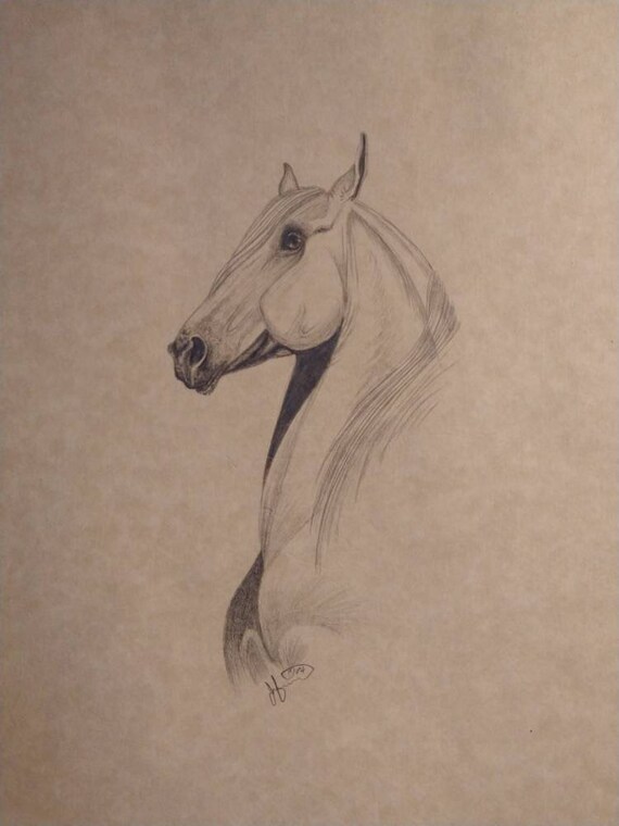 Lipizzaner Horse Original Drawing | Etsy