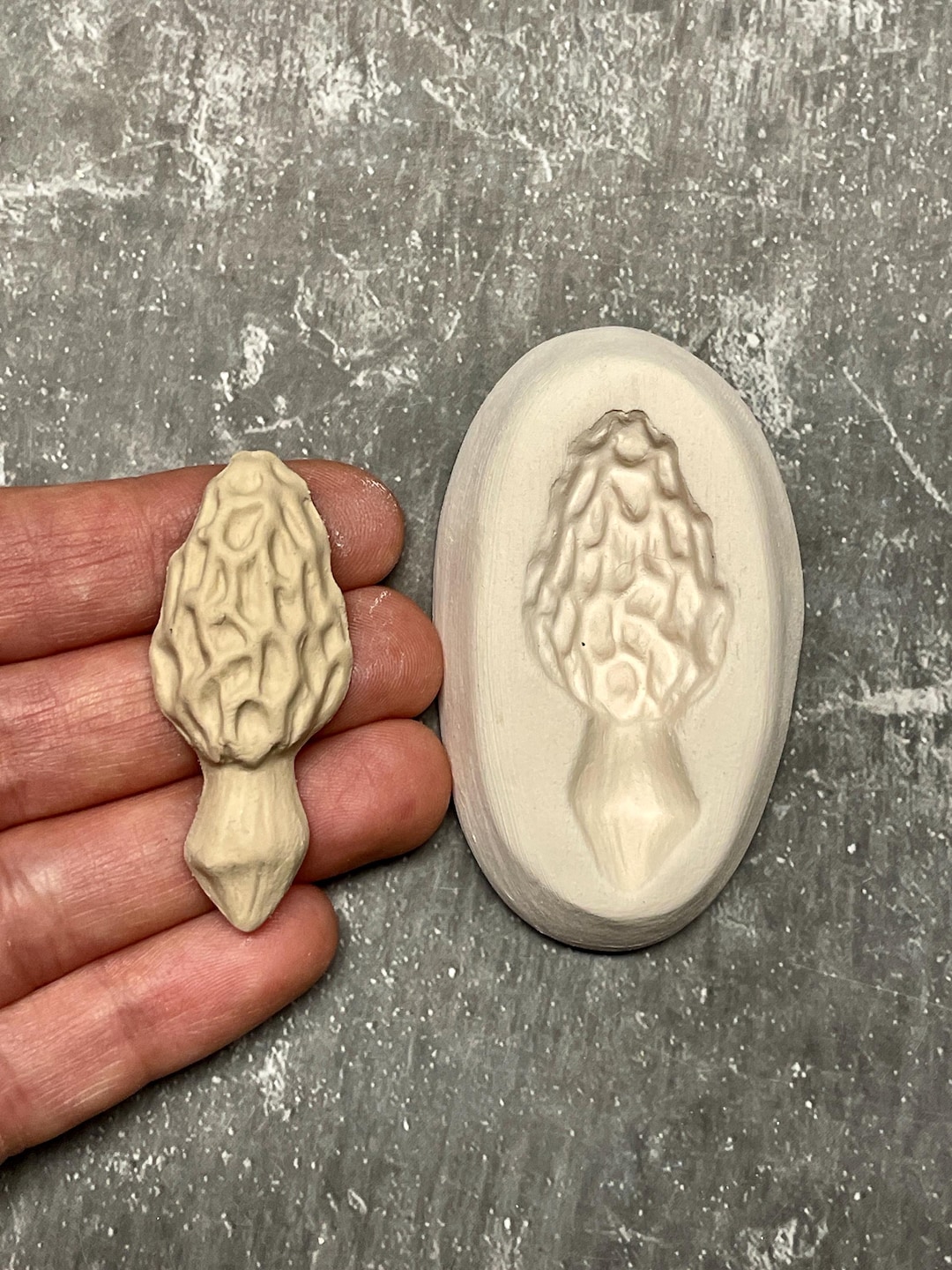 Morel Mushroom 2 Sprig Mold - Etsy