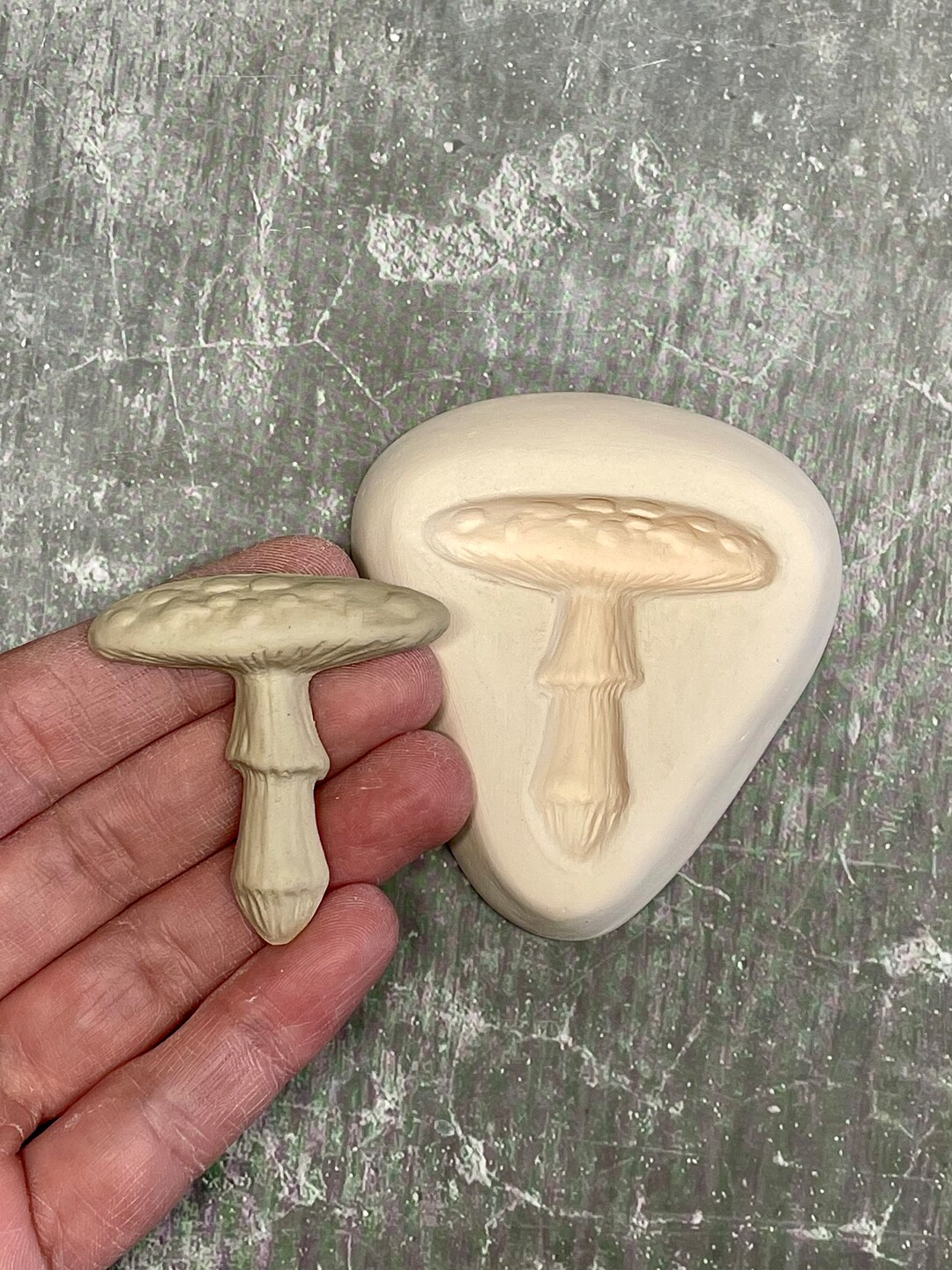 Skirted Amanita Mushroom - Medium - Sprig Mold - Etsy