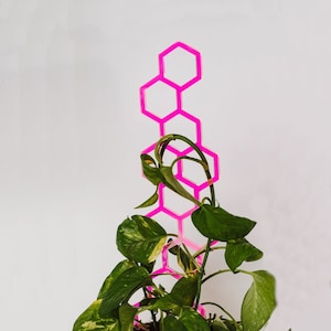 Plant Trellis Pink Trellis Large Honeycomb Houseplant | Etsy