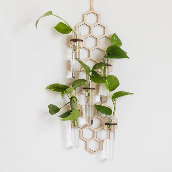 Test Tube Planter - Etsy