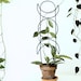 Metal Moon Phase Plant Trellis: Witchy Plant Lover Gift, 21" - Etsy