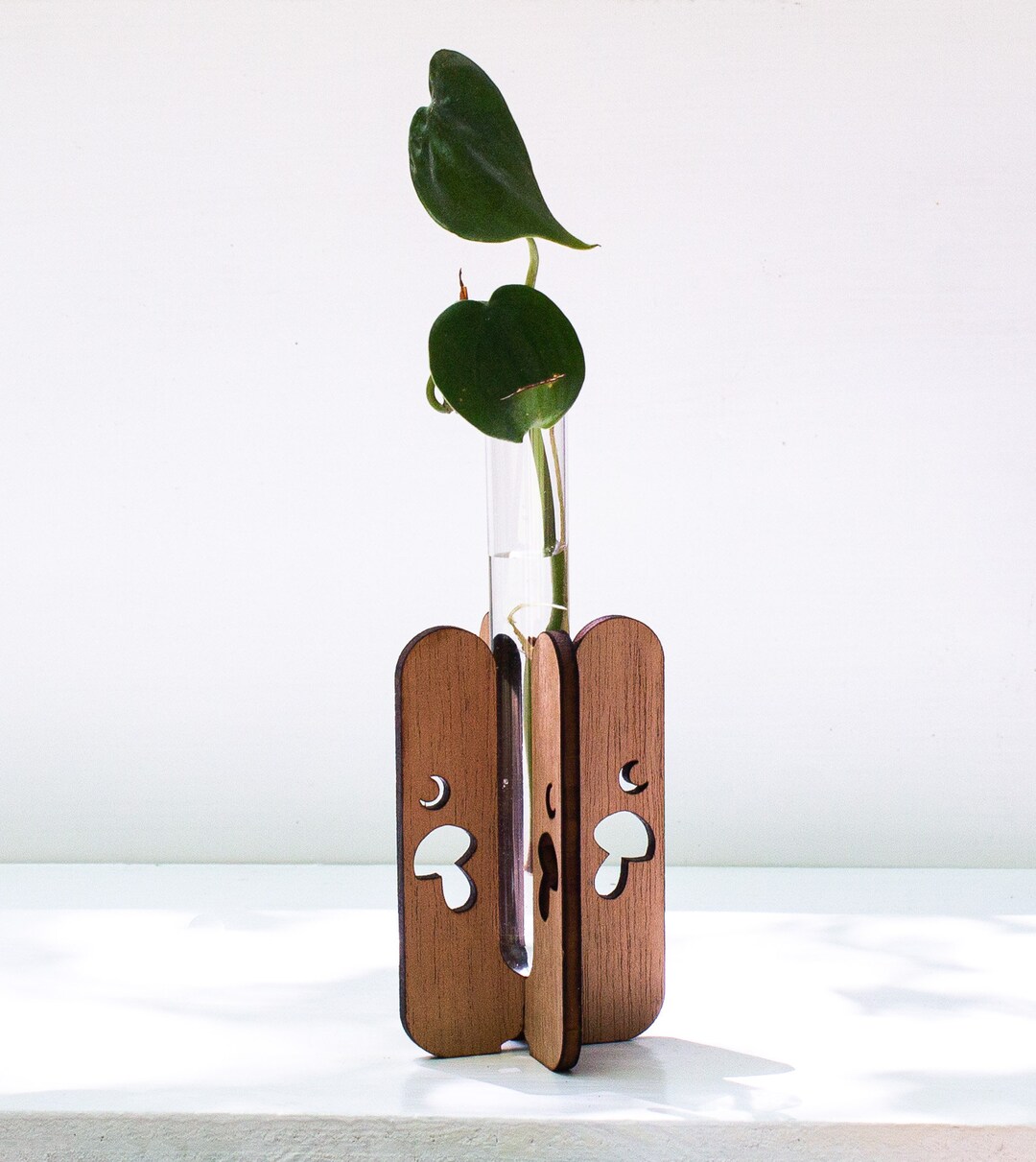 Mushroom Propagation Station - Bundle & Save, Choose Your Wood Stain ...