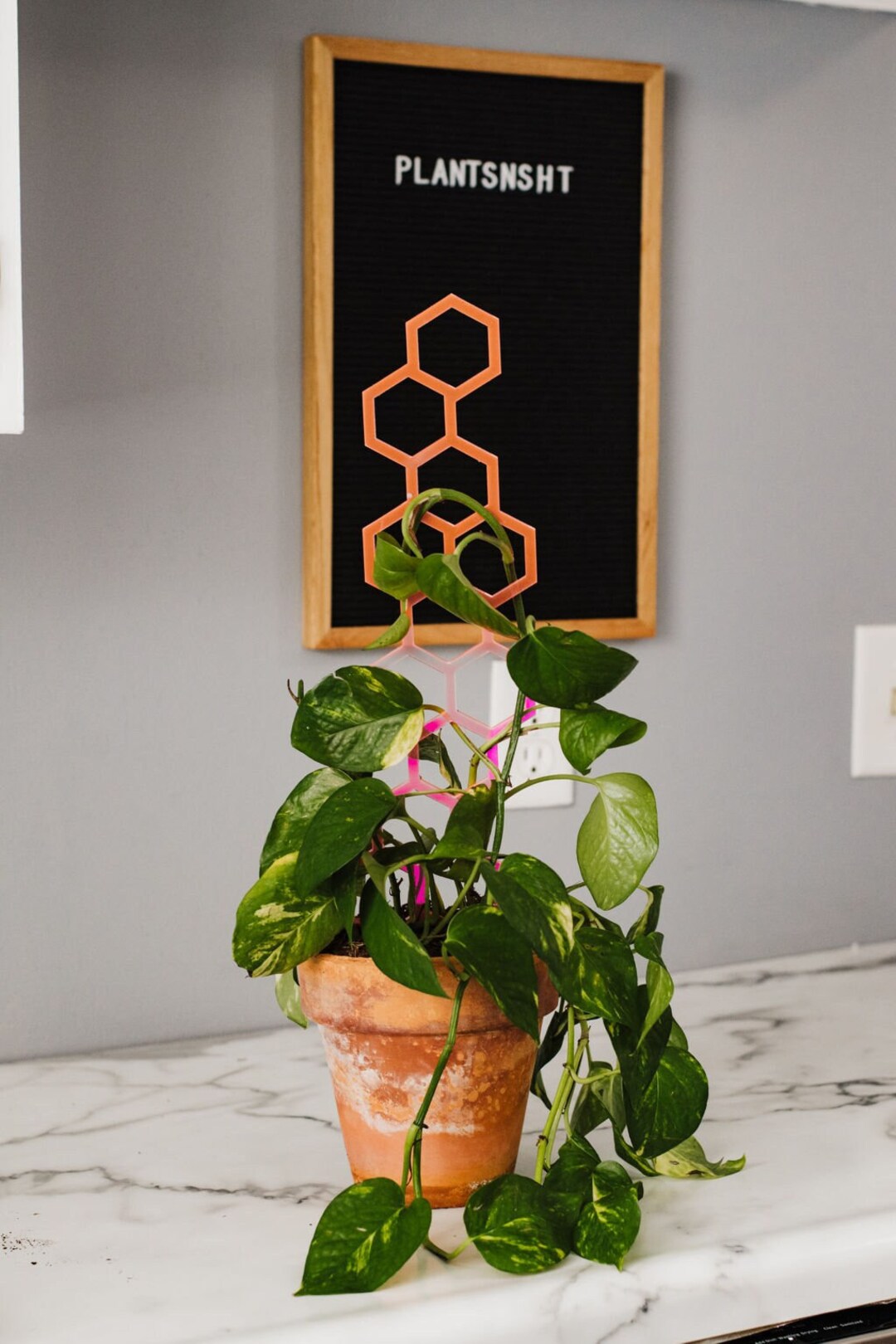 Plant Trellis, Pink Trellis, Large Honeycomb Houseplant Trellis, Indoor ...