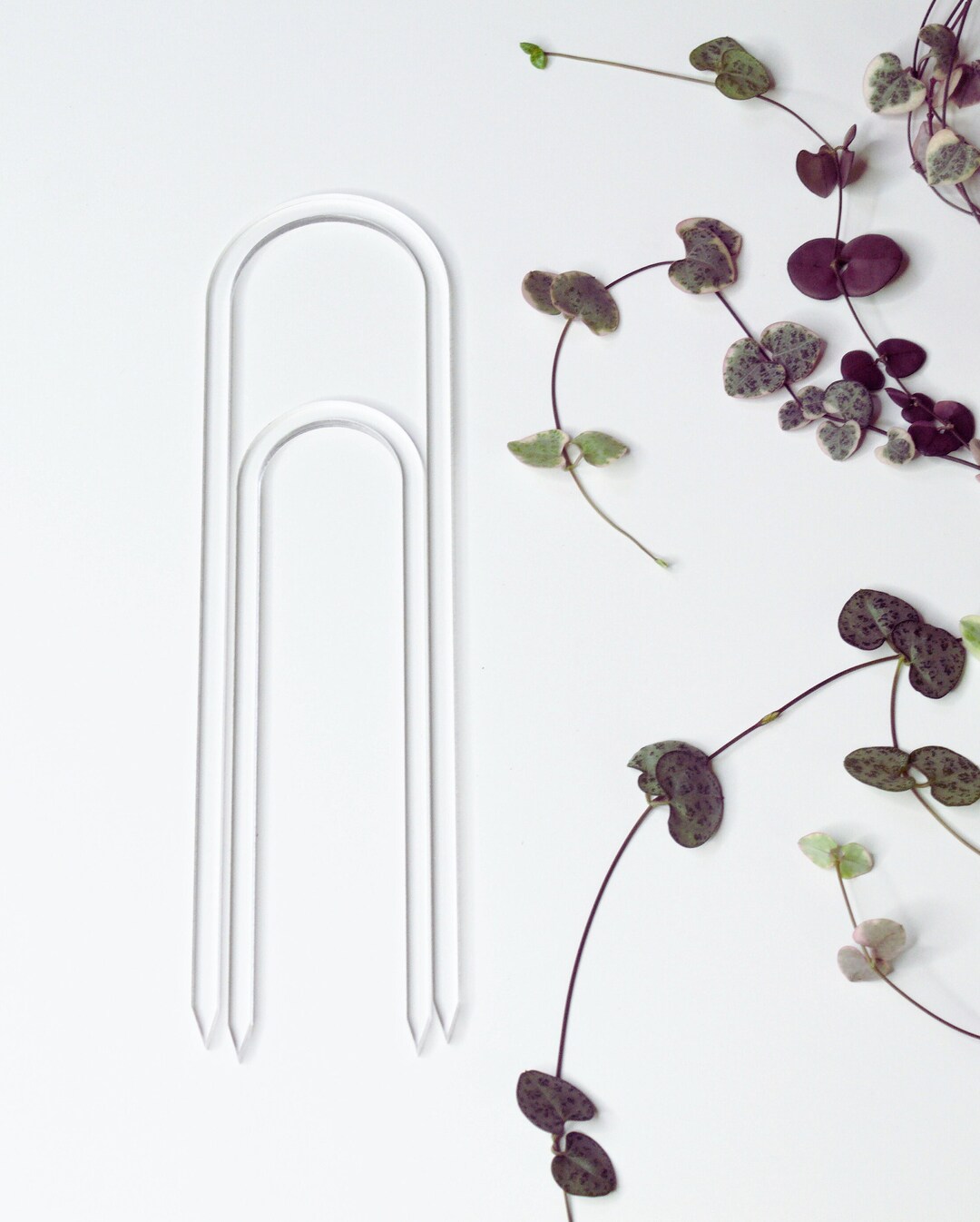 Clear Arch Acrylic Plant Trellis Support for Hoya and Vining Plants ...
