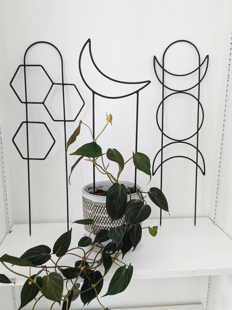 Metal Moon Phase Plant Trellis: Witchy Plant Lover Gift, 21" - Etsy