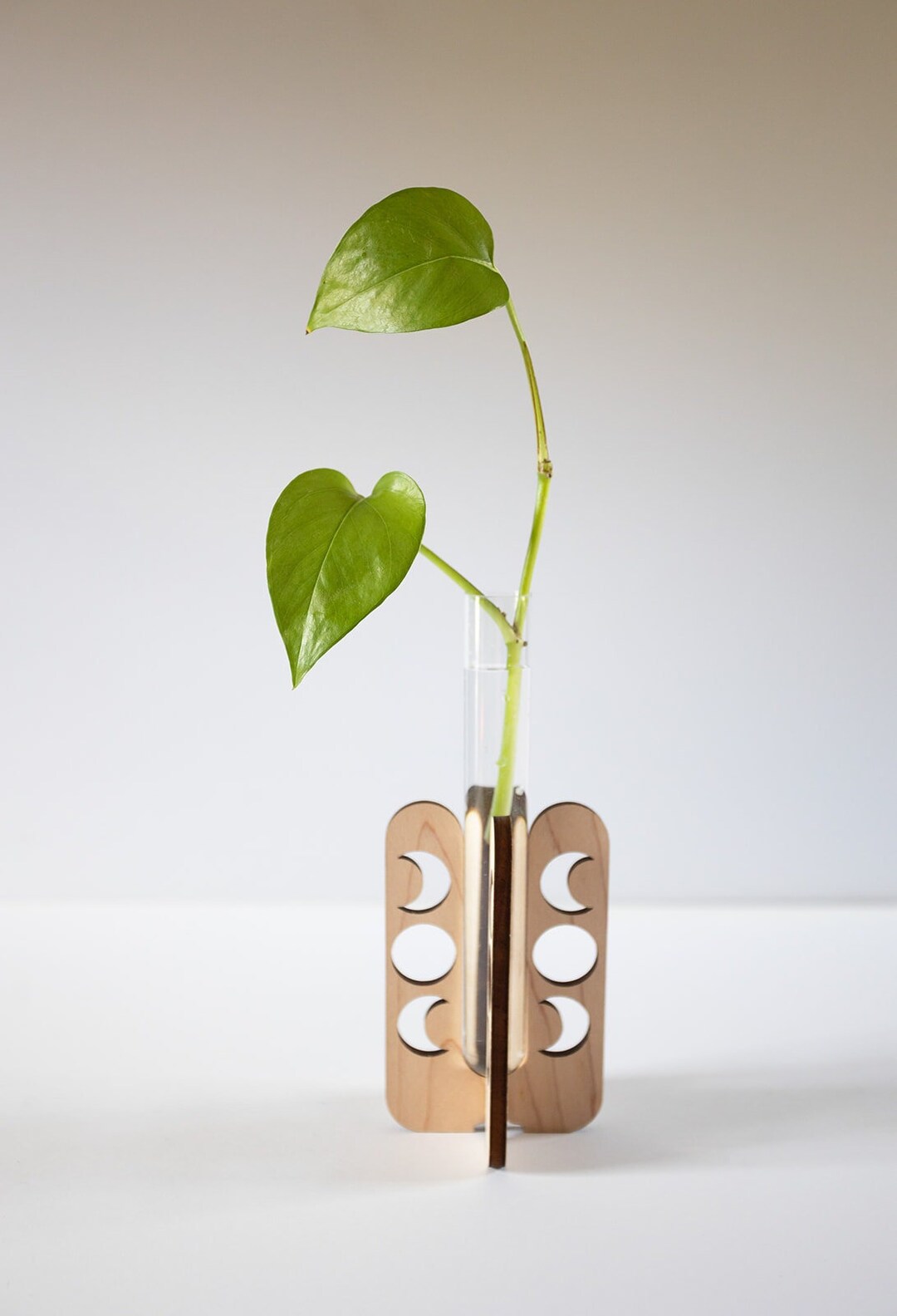 Moon Phase Propagation Station, Plant Propagation Stand With Test Tubes ...