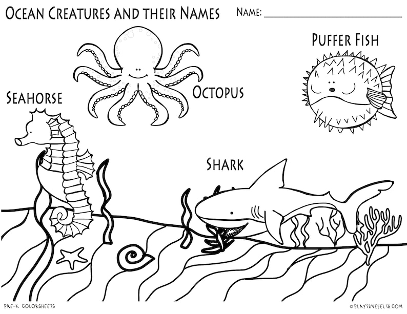 Ocean Animals Prek Printable Worksheets - Etsy