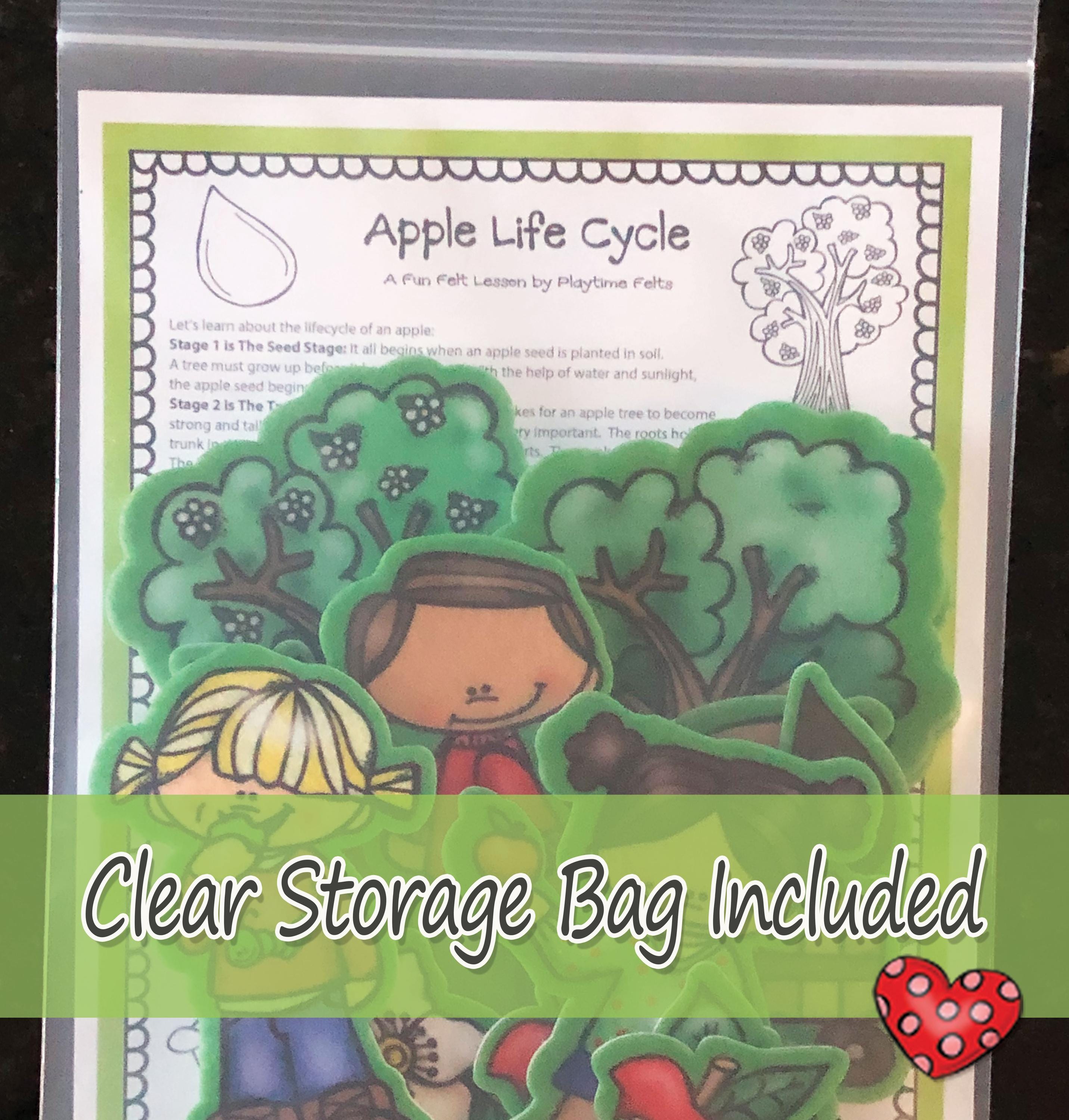 Apple Life Cycle Felt Board Story: Preschool Learning Activity - Etsy
