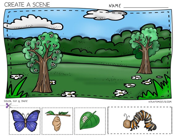 Hoja De Trabajo Sobre El Ciclo De Vida De La Mariposa Para Preescolar