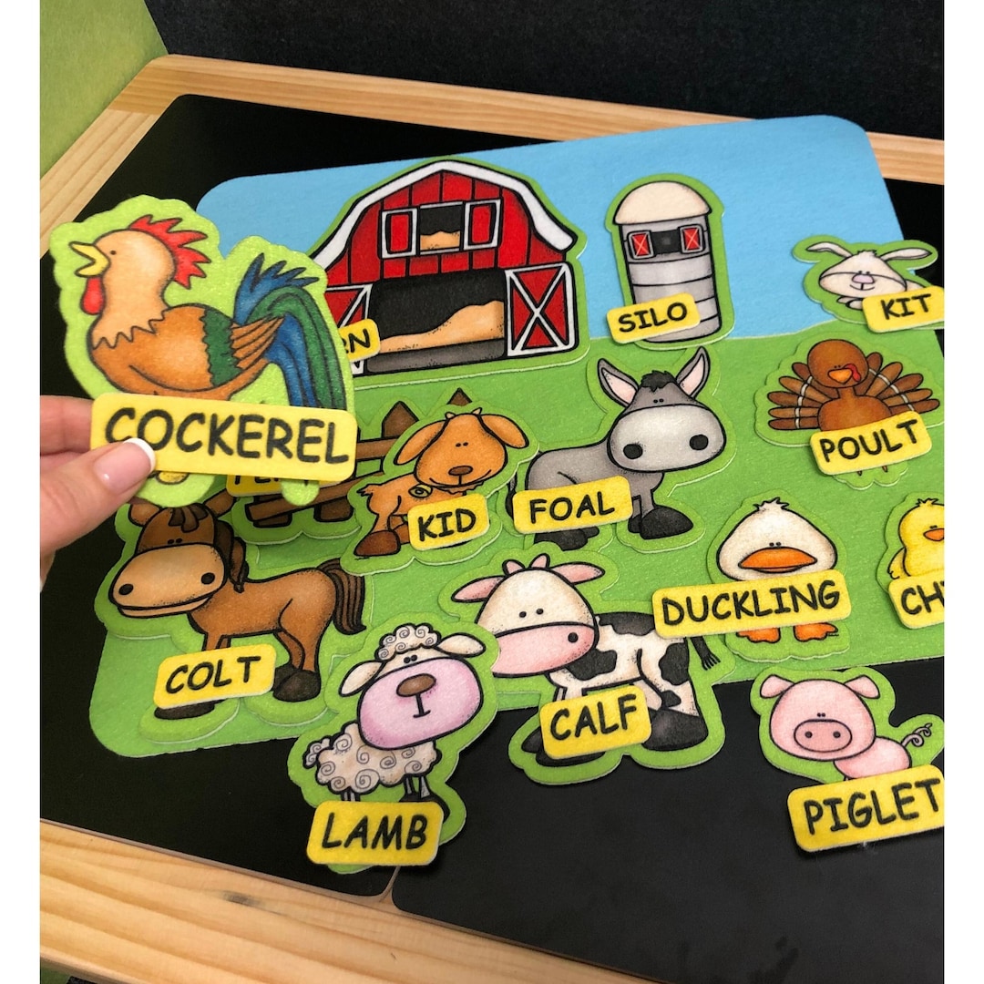 Felt Farm Animals: Flannel Board Stories for Preschool (unique Kids ...