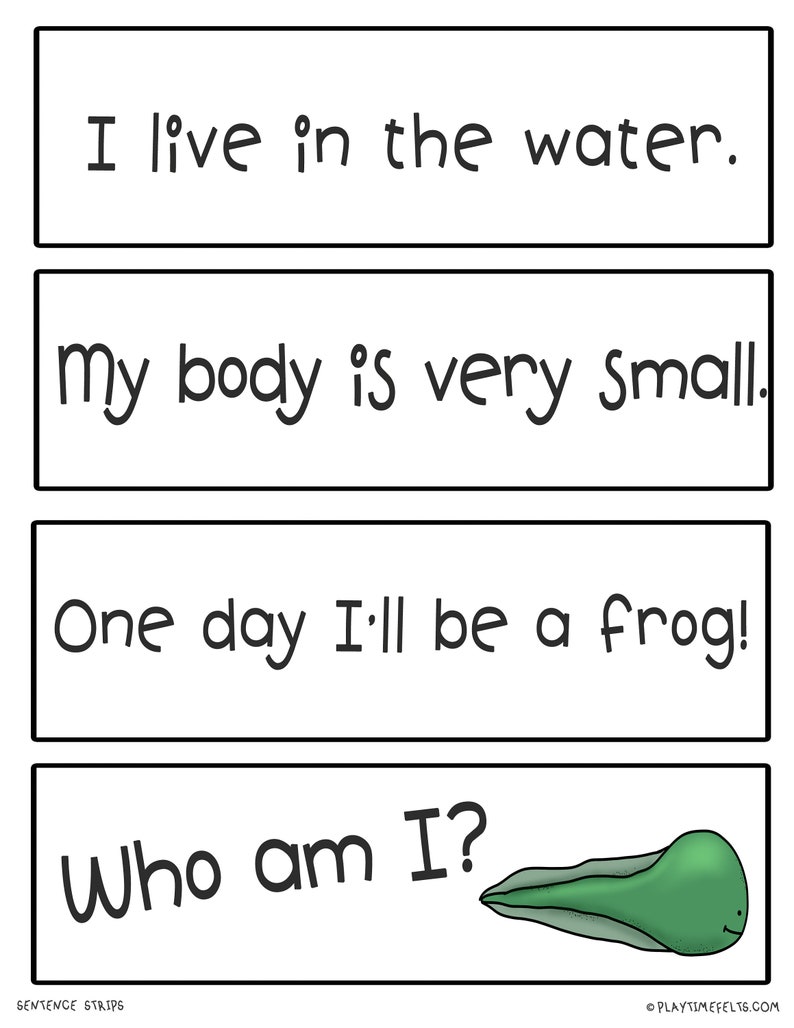 Frog Life Cycle Pre K Printable Worksheets - Etsy