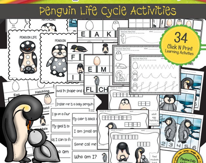 Foldable Penguin Life Cycle Learning Activity for Kids A4 and 11x8.5 ...