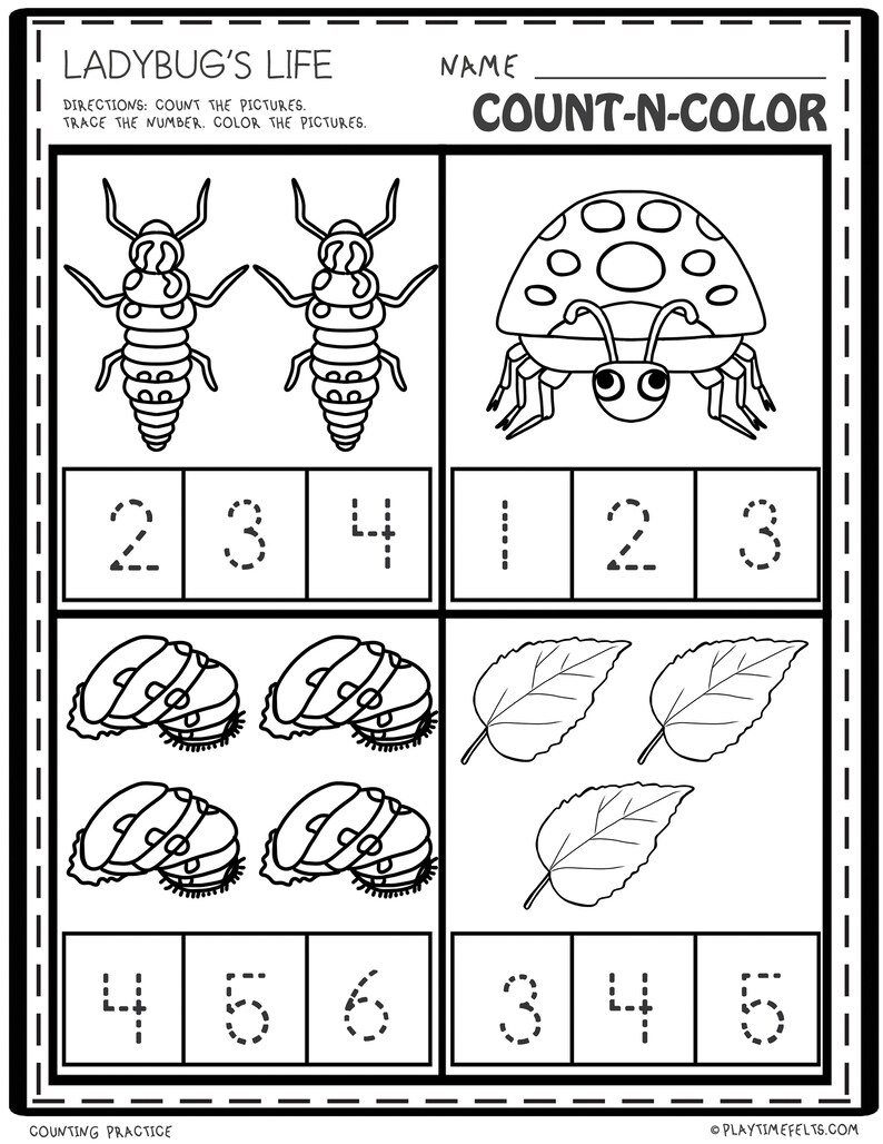 Ladybug Life Cycle Prek Worksheets Preschool-kindergarten, Montessori ...