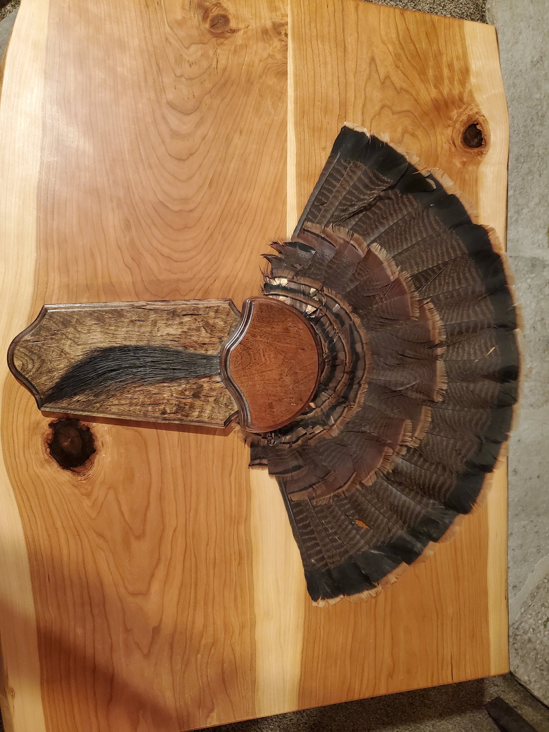 DIY Turkey Fan Mount - Etsy