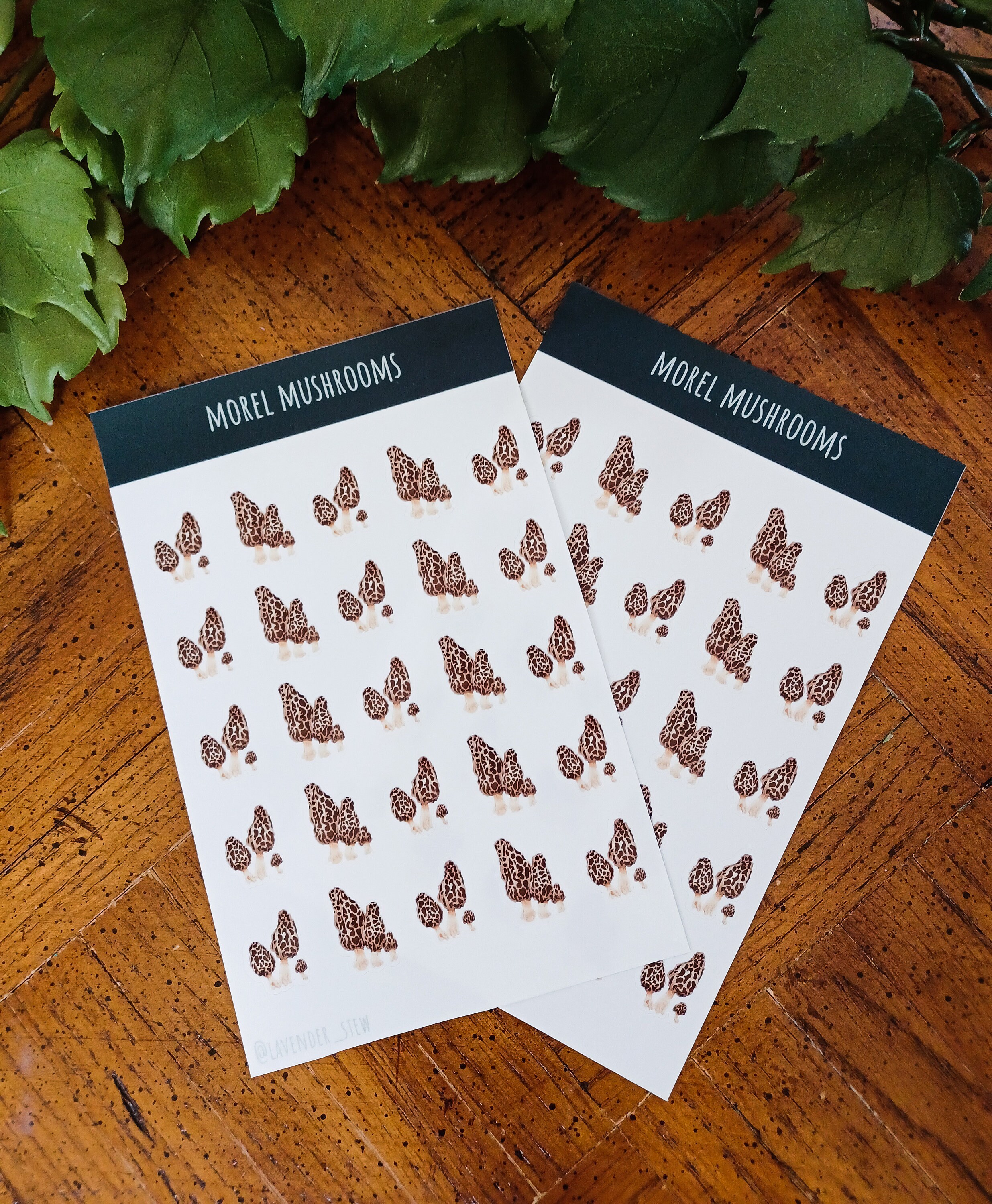 Morel Mushrooms Glossy Planner Sticker Sheet - Etsy