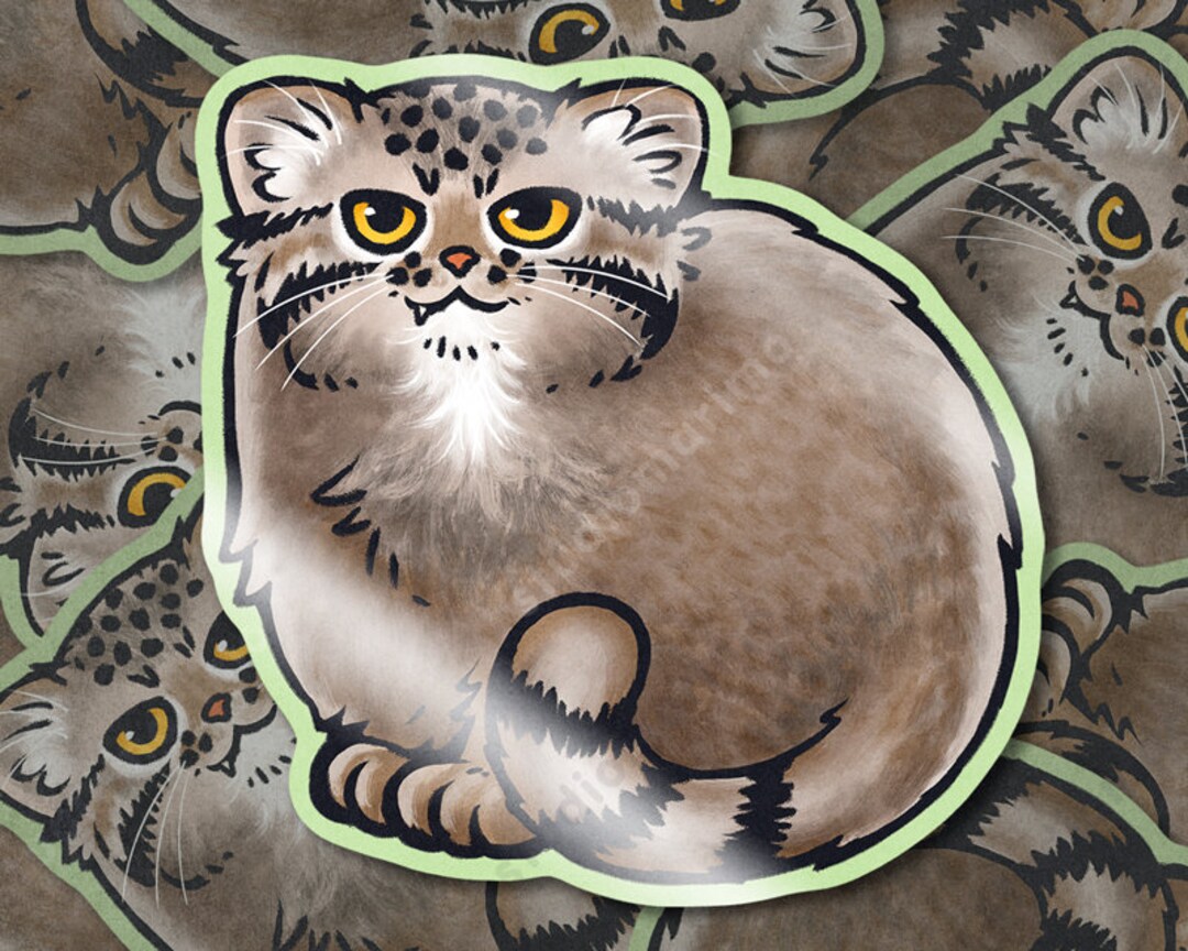 Pallas's Cat / Manul Cat Vinyl Sticker - Etsy