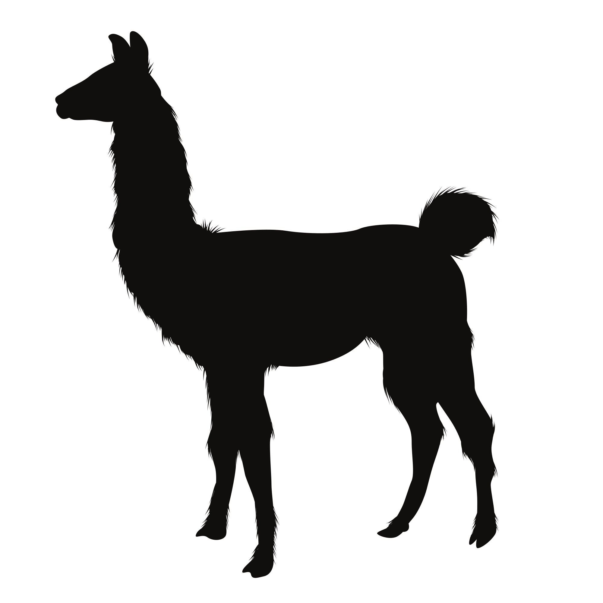 Lama Svg Silhouette Lama Svg Dxf Eps Silhouette Rld Rdworks - Etsy