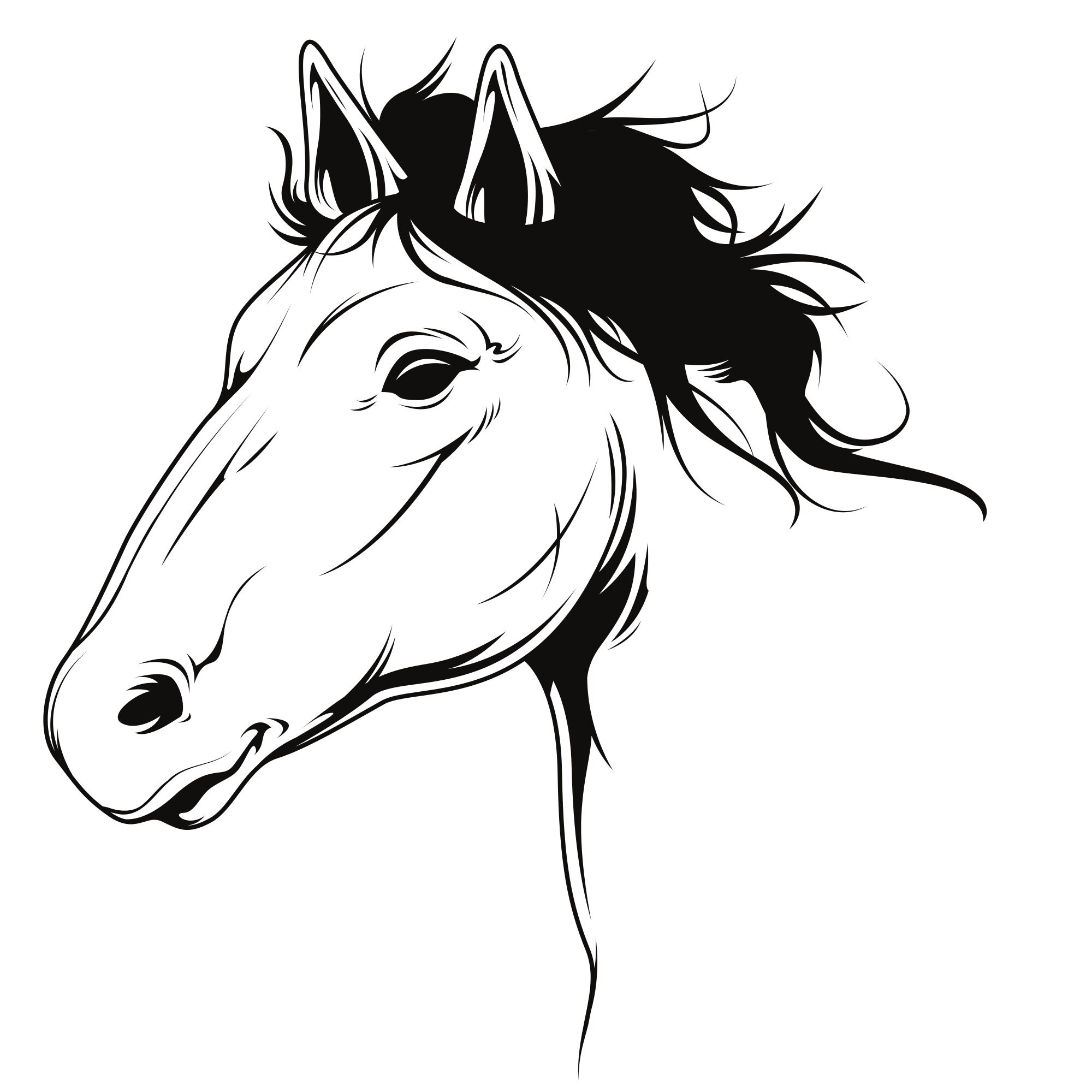 Silhouette tête de cheval Svg Dxf Eps Silhouette Rld RDWorks | Etsy