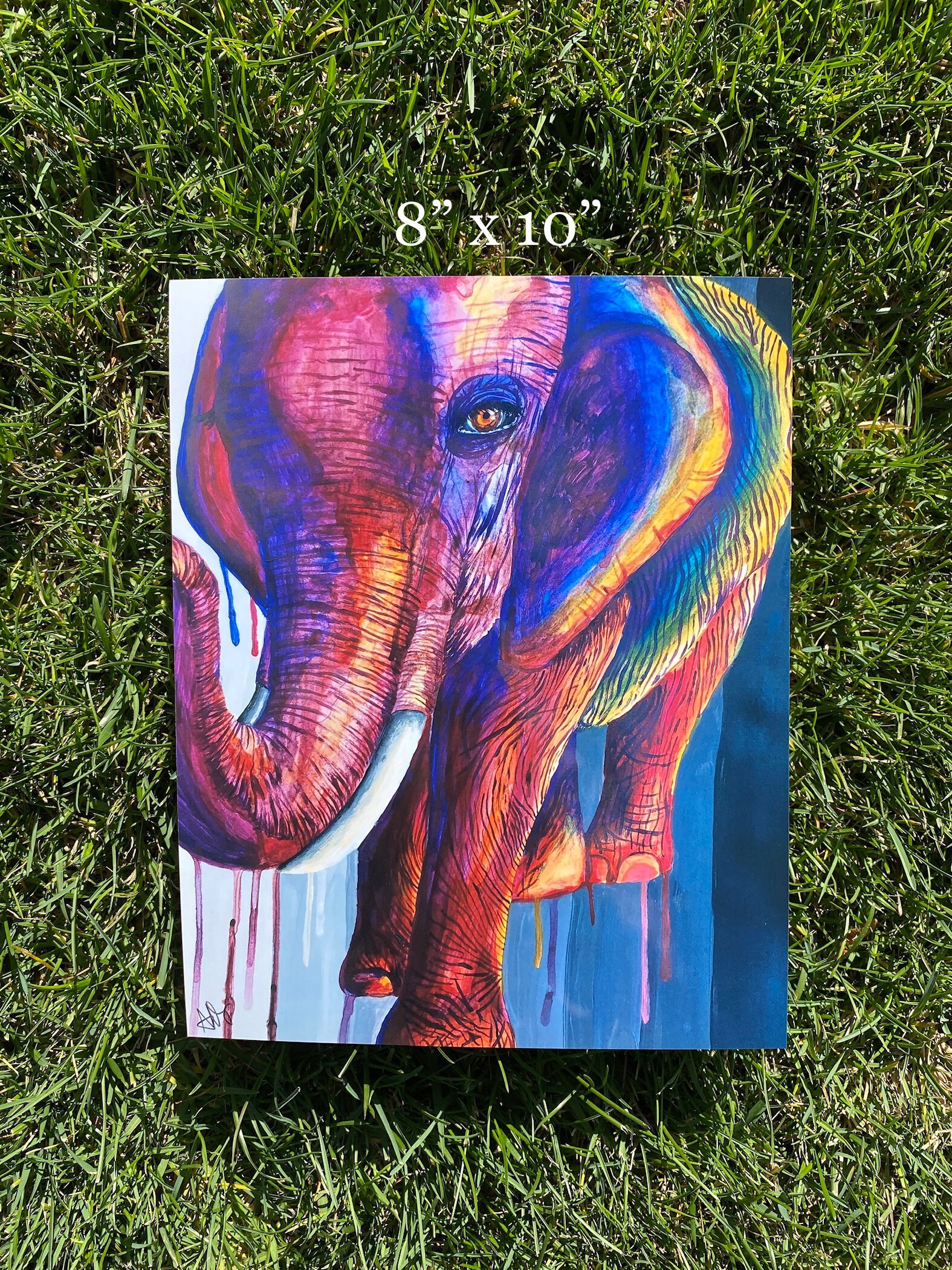 Dripping Elephant Fine Art Print - Etsy