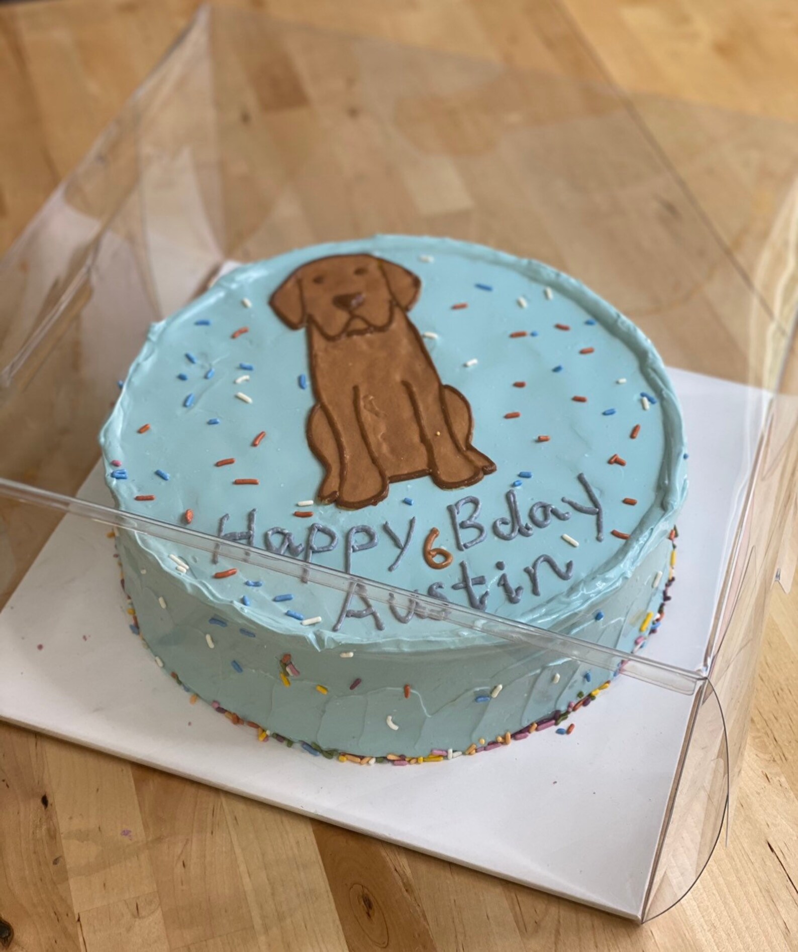 White Clear Cake Box With Handle – Cake Carriers – Transparent Birthday ...