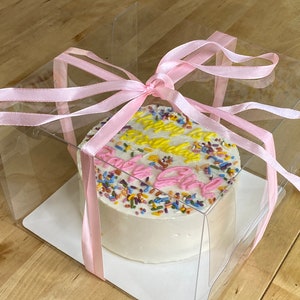 White Clear Cake Box With Handle – Cake Carriers – Transparent Birthday ...