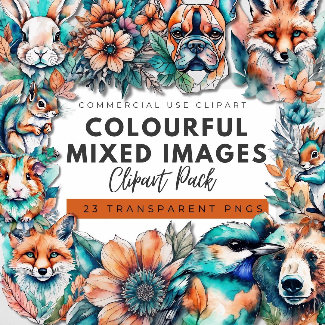 Colourful Mixed Animals Clip Art Pack, Cute Animal Clipart, Clipart for ...