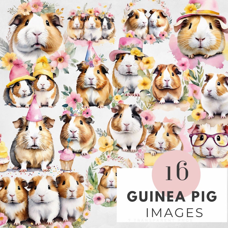 Watercolor Guinea Pig Clip Art Pack, Cute Animal Clipart, Clipart for ...