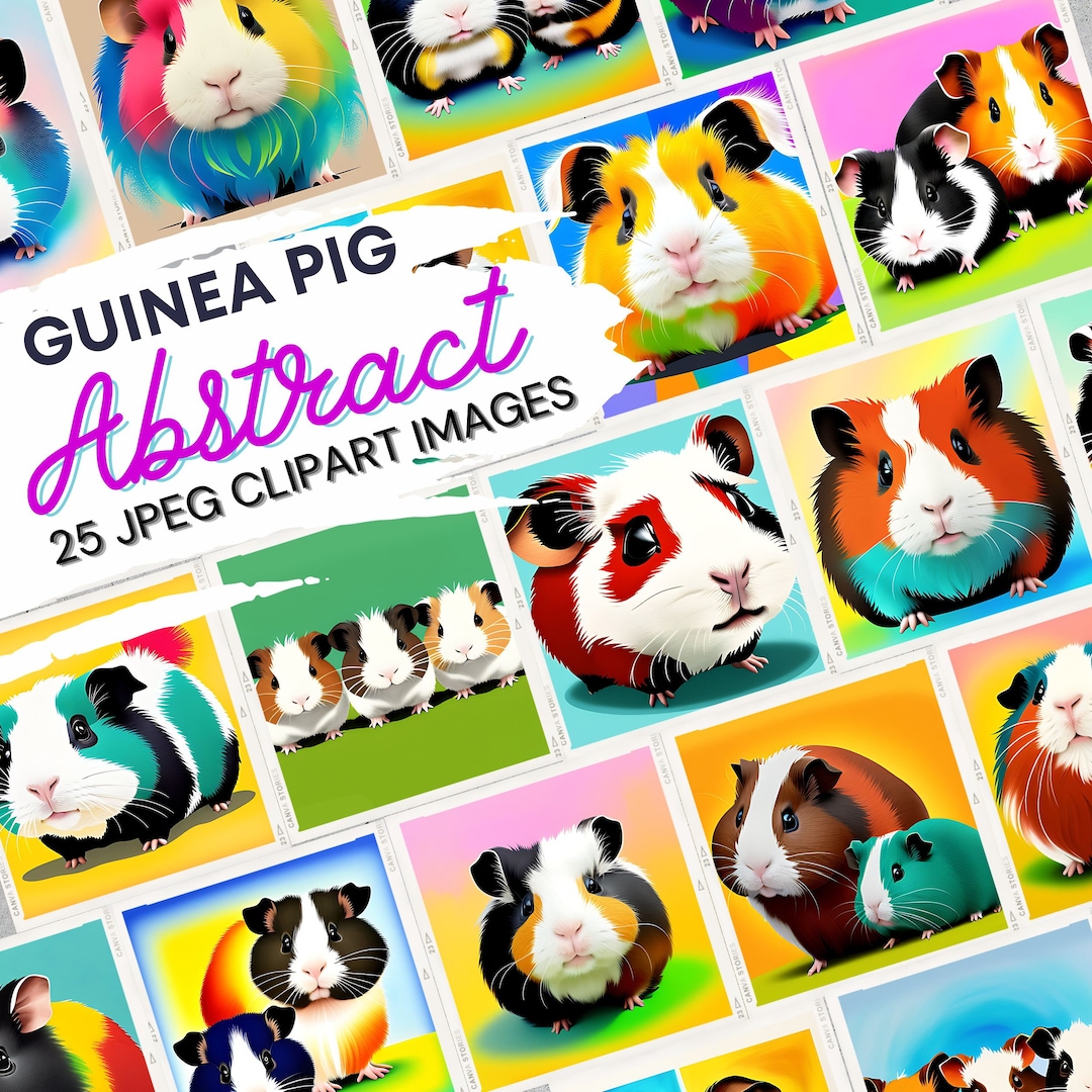 Abstract Guinea Pig Clipart Images Square Images 25 JPEG - Etsy