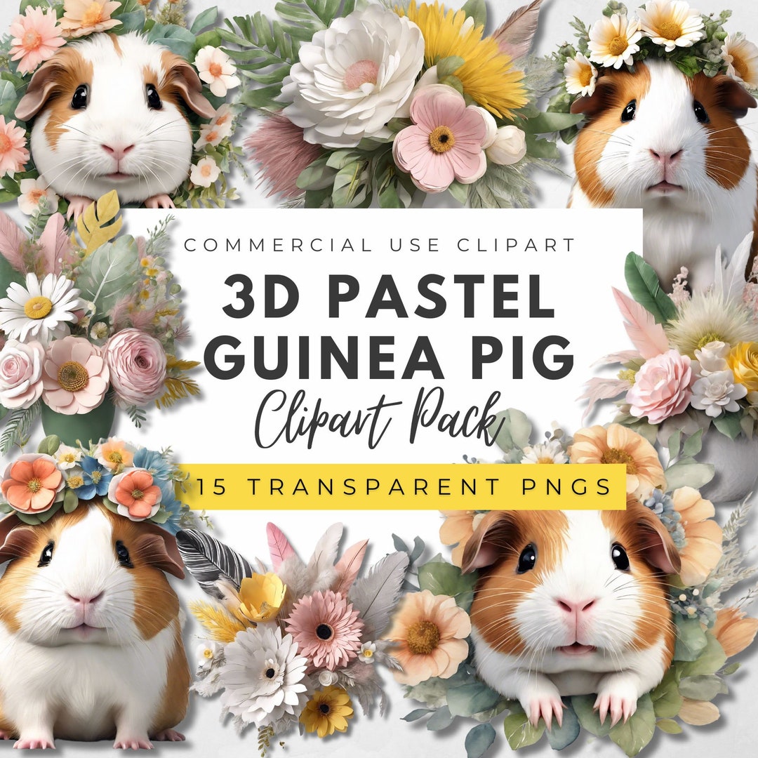 3D Pastel Guinea Pig Clip Art Pack, Cute Animal Clipart, Clipart for ...