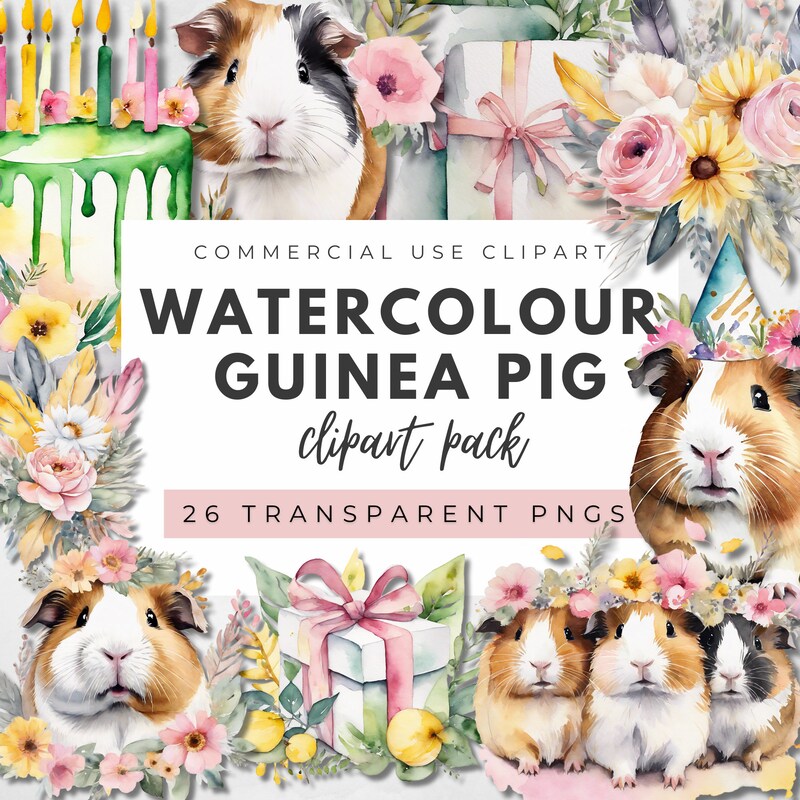 Pig Clip Art - Etsy
