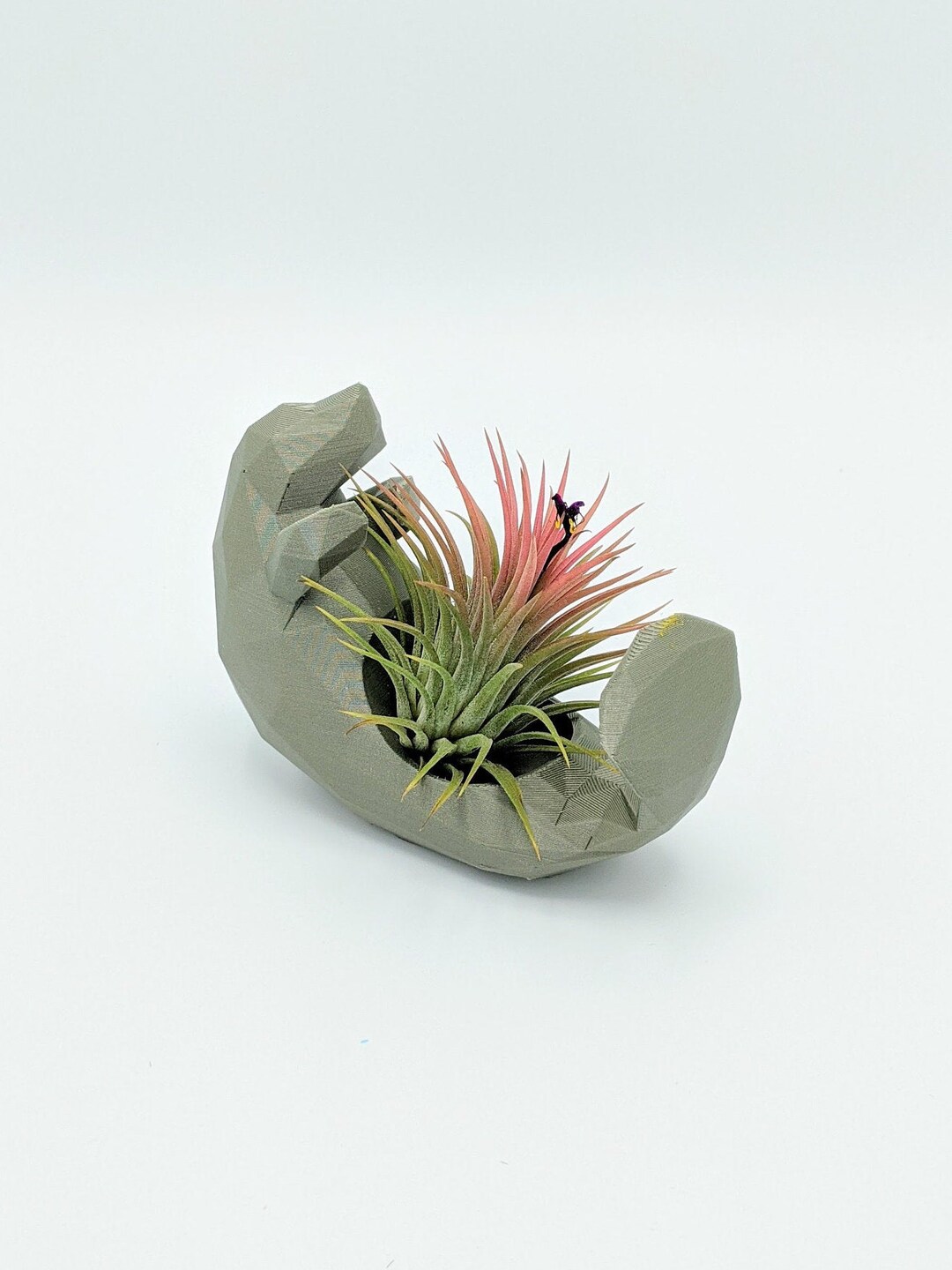 Manatee Planter, Air Plant Holder, Indoor Planter, Succulent Decor ...